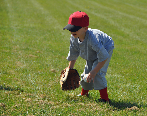 Life Cycle Of A Little Leaguer